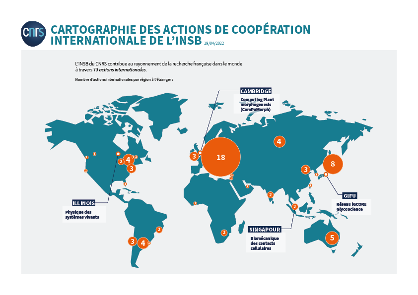 International | INSB