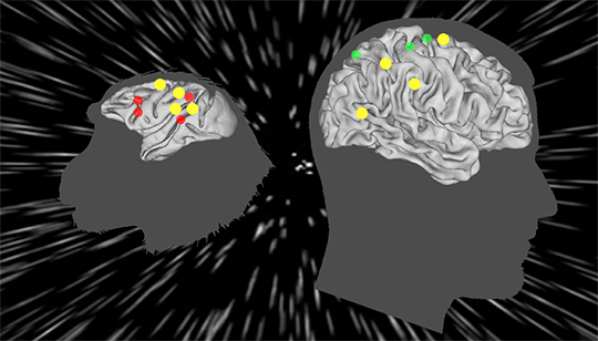 Le cerveau du primate en mouvement | CNRS Biologie