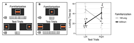 L’effet « SNARC » chez les nouveau-nés? | CNRS Biologie