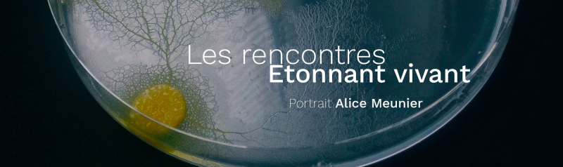 Rencontre avec Alice Meunier, chercheuse à l’Institut de biologie de l ...