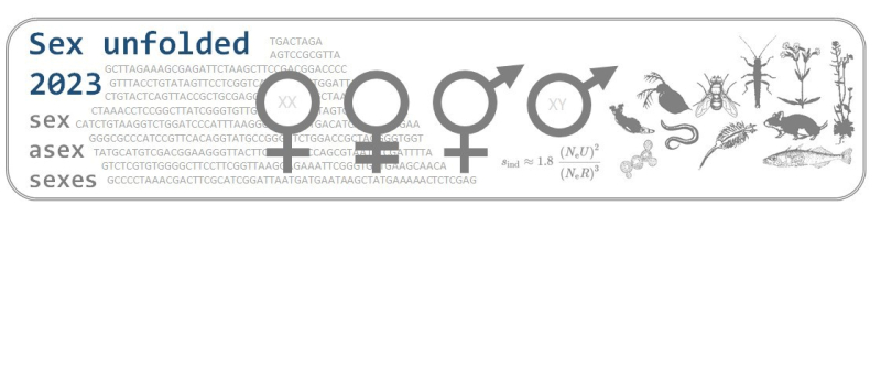 Sex Unfolded Sex Asex Sexes Cnrs Biologie