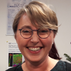 Hommage à Susanne Bolte | CNRS Biologie