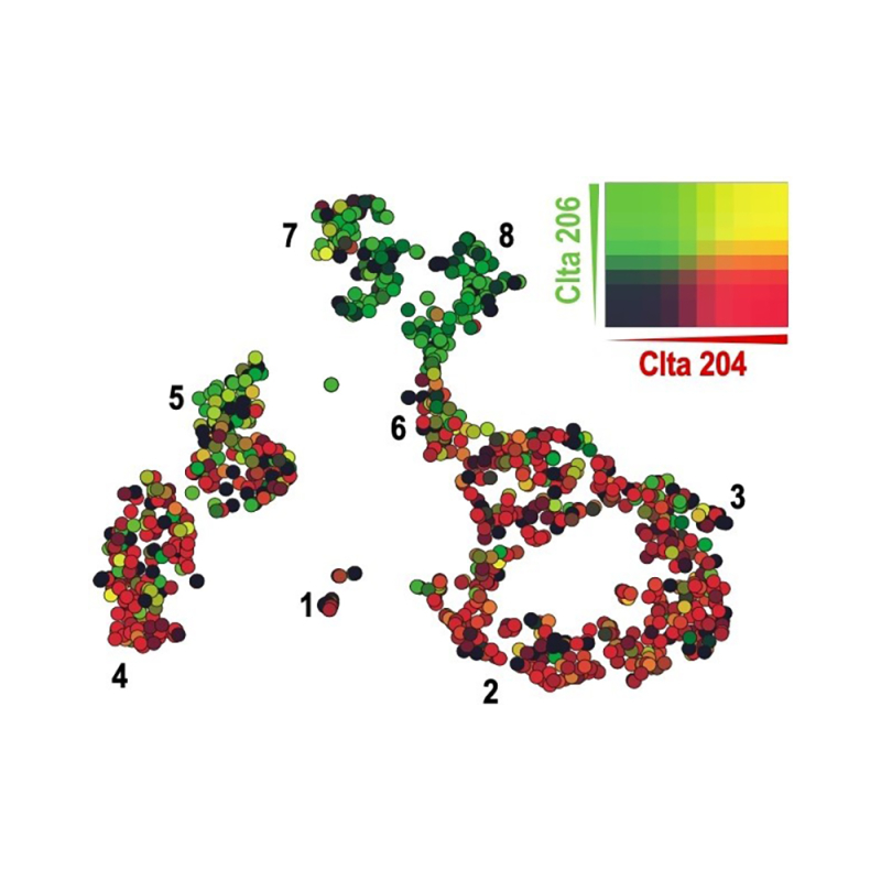 Lire l’ARN de tout son long, cellule par cellule | CNRS Biologie