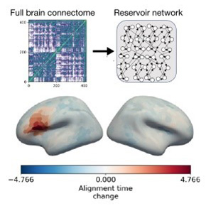 Comment le cerveau décode le temps : du récit aux réseaux neuronaux ...