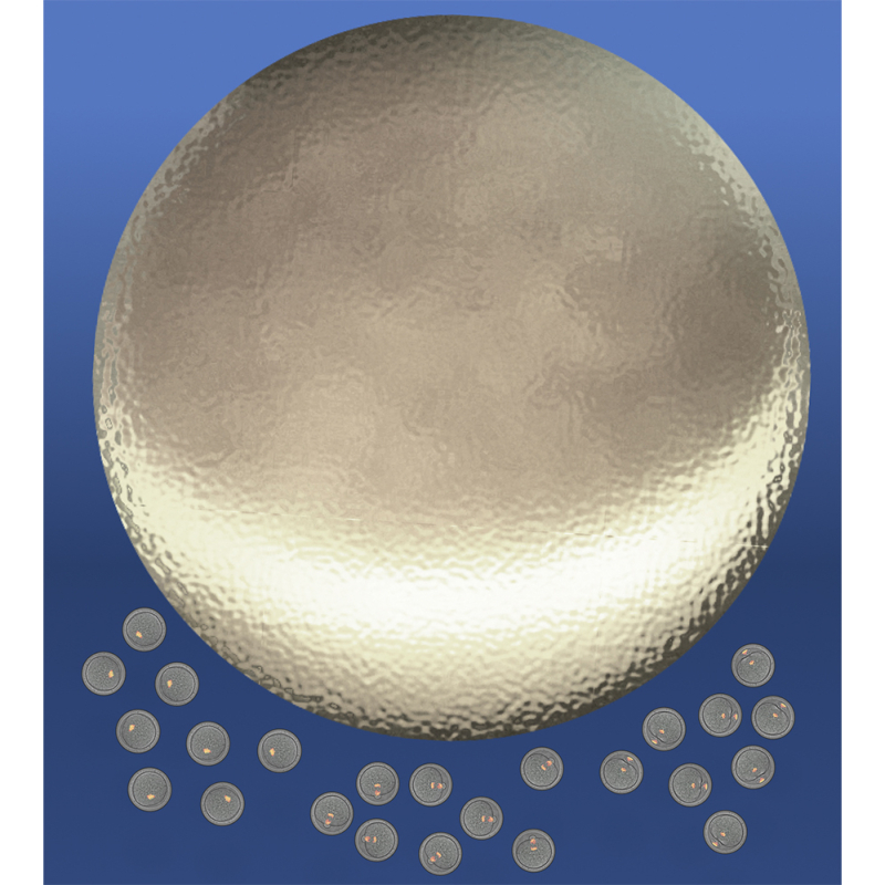 Comment l'ovocyte sait compter jusqu'à deux pour être fécondé au bon ...