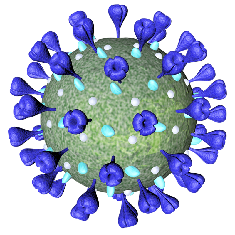 Le clofoctol est un nouveau composé antiviral contre le SARS-CoV-2 ...