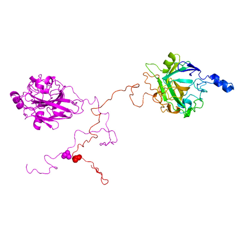 Un nouveau mécanisme impliqué dans la dégradation de la cellulose par ...
